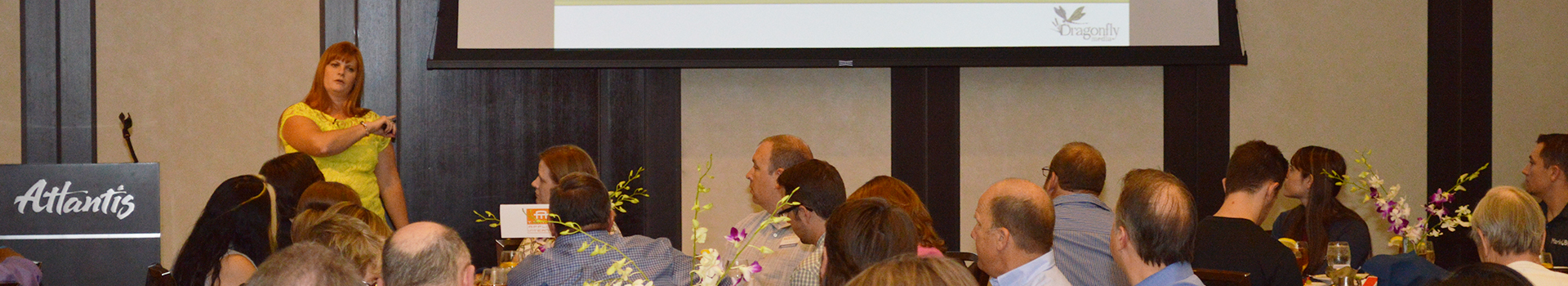 Dragonfly Media is a US based leading digital design and digital ...